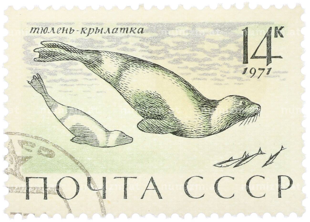 Почтовая марка 14 копеек 1971 года «Морские млекопитающие — Тюлень ...